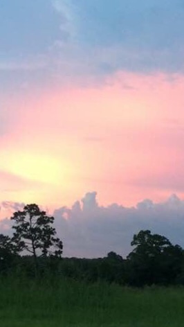 Angel – Trina Morgan